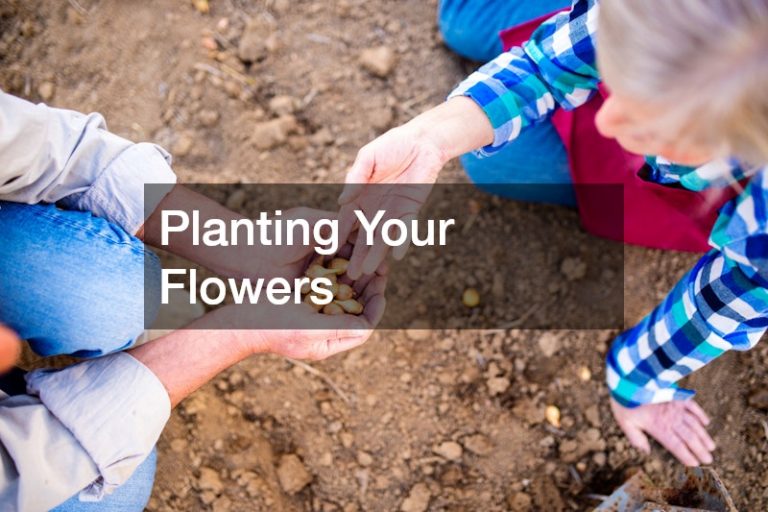 How to Start a Flower Garden | Beginner’s Easy Guide